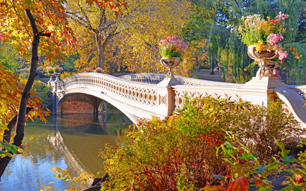 5 Most breathtaking bridges in the world