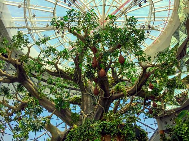 Dubais New Indoor Rainforest